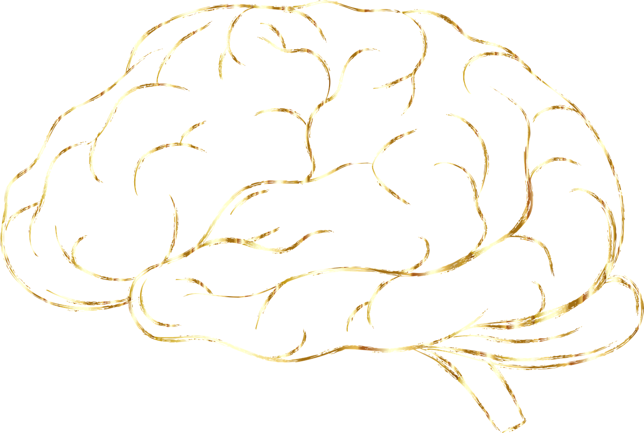 Topic: 3D Imaging and quantitative analysis of intact tissues and ...